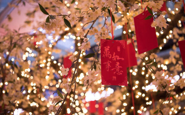 A Wishing Tree Tradition – 華埠訪客中心